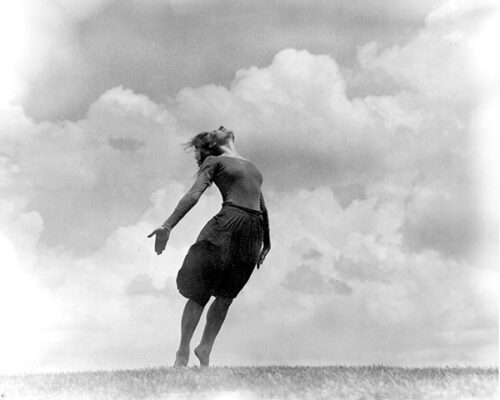 Sybil Shearer (1912–2005) | WENDY PERRON